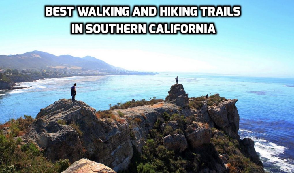 5 of the Best Walking Trails In Southern California