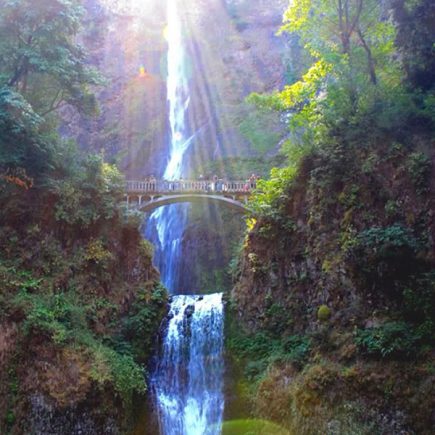 The Best Walking and Hiking Trails in Portland, Oregon