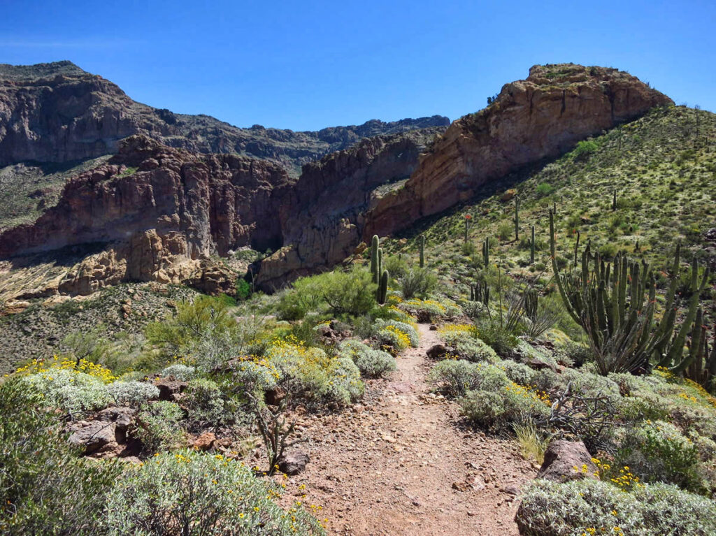 The 10 Most Beautiful Hiking Trails in Arizona